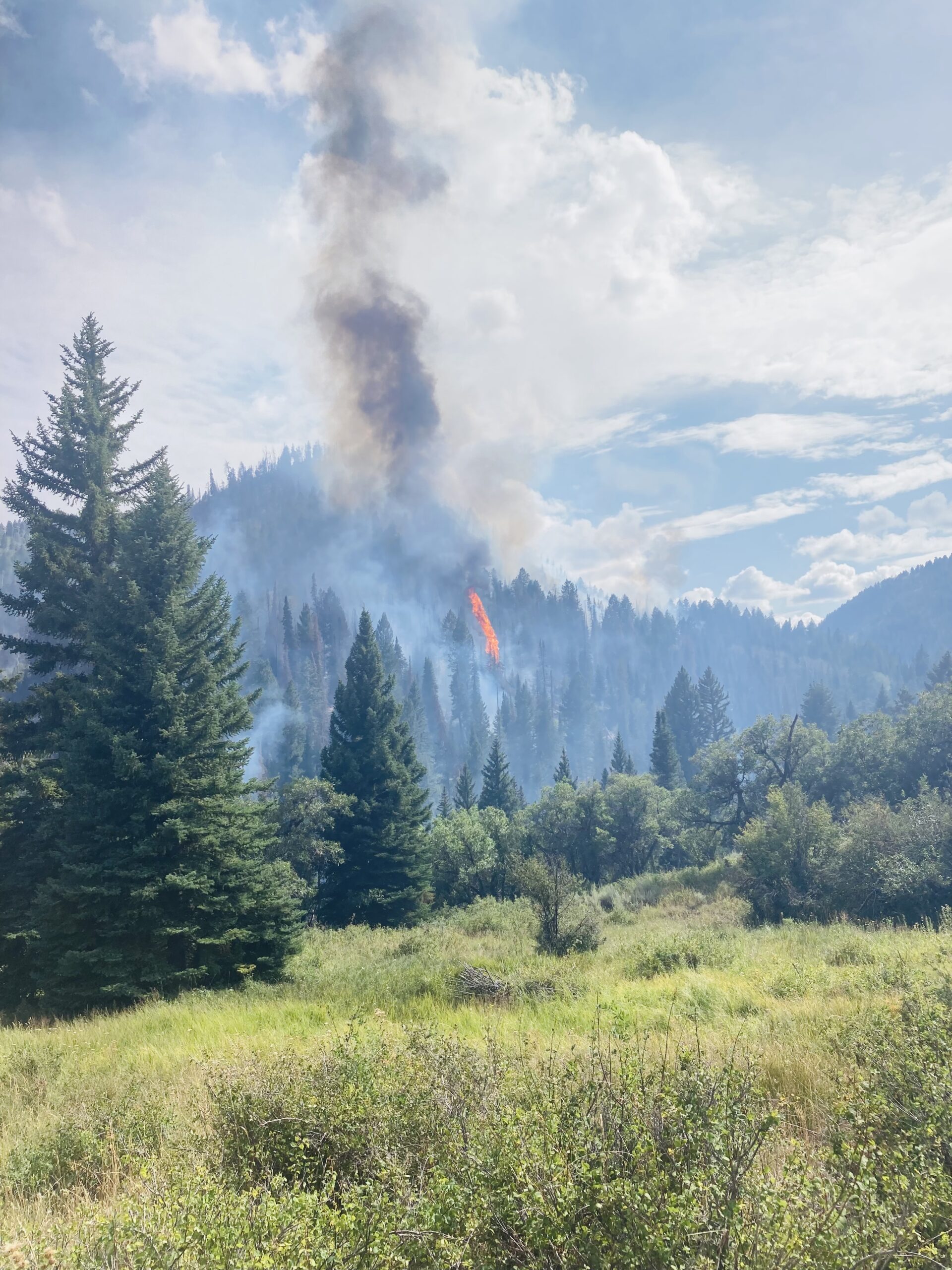 Pike Ridge Fire north of Loma at 231 acres – Garfield County Emergency ...